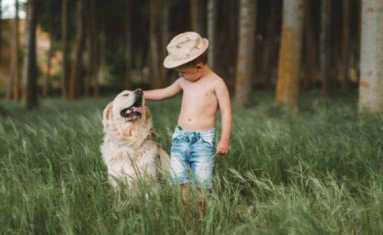 10 races de chiens les plus gentils avec les enfants - Animal.ch